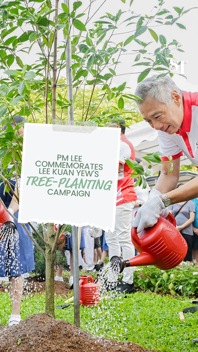 PM Lee commemorates Lee Kuan Yew's tree-planting campaign, which ...