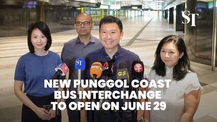 Latest Videos News & Headlines, Top Stories Today - The Straits Times