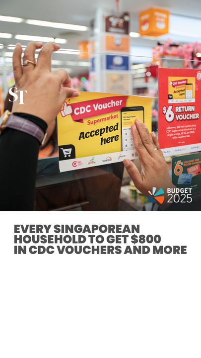 Additional CDC vouchers, U-Save rebates and LifeSG credits for all ...