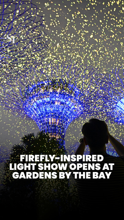 Light up your night with a firefly-light inspired show at Gardens by the Bay
