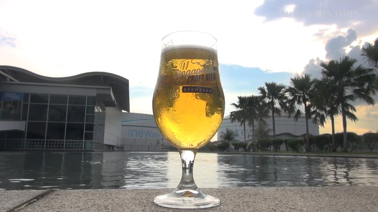 Newbrew, the Newater beer to go on sale in Singapore video. STAYHOME ...