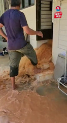 Budget 2023: What it means for young families video. STAYHOME.COM.SG #StayHomeWithSPH