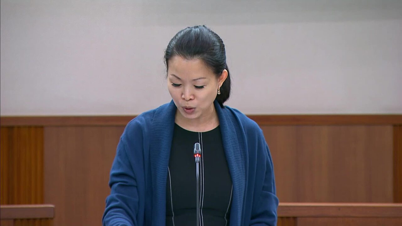 Committee of Supply 2020 Debate, Day 3: Cheng Li Hui on flexible work ...